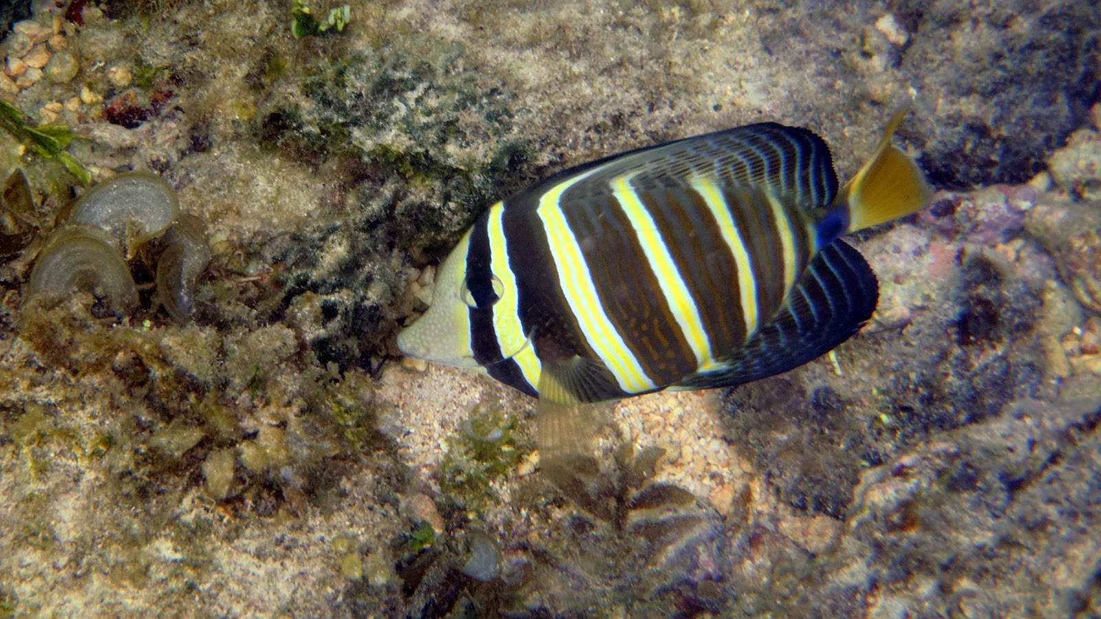 Gwenny's World: My Best of Guam Photos...