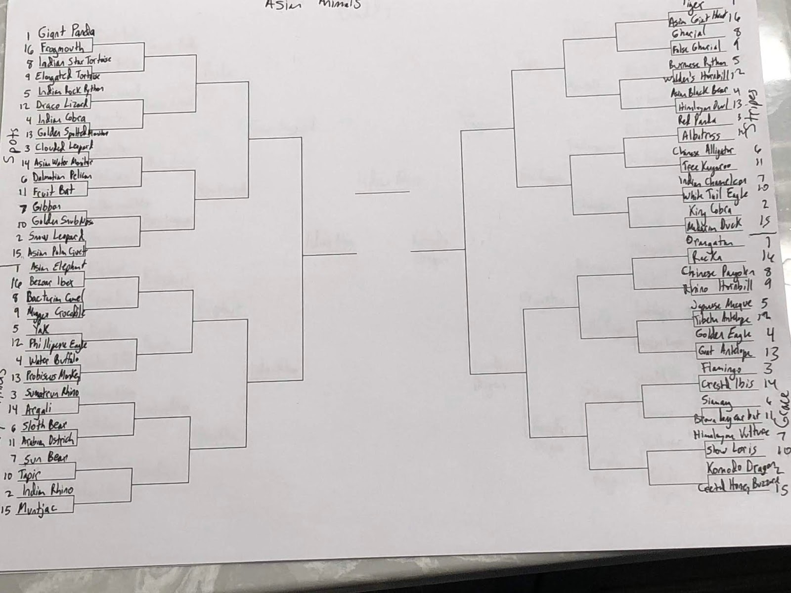 Junior's Brackets: Asian Animals Bracket