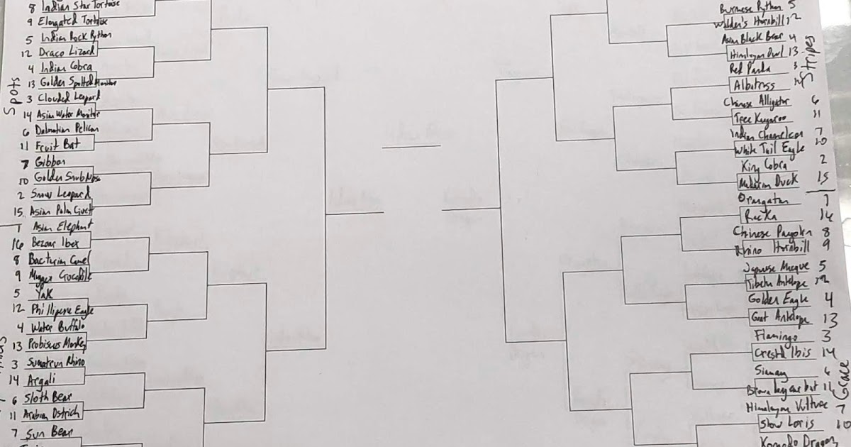 Junior's Brackets: Asian Animals Bracket