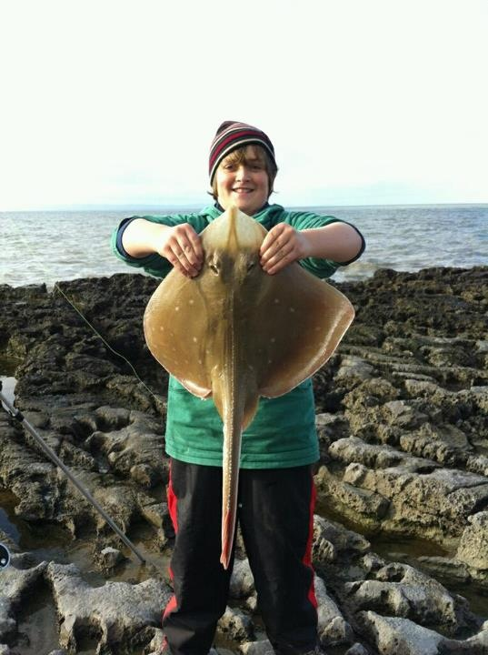 Fish of the Month August Entry - Small-Eyed Ray! ~ Fishingmegastore Blog