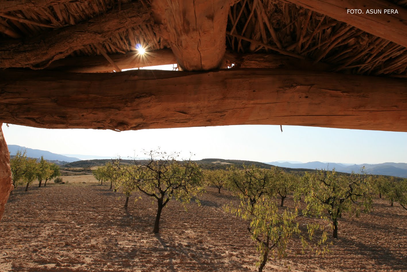 Imágenes de Alacón: PAISAJES DE ALACÓN