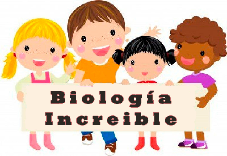 Biología Increible: La reproductividad