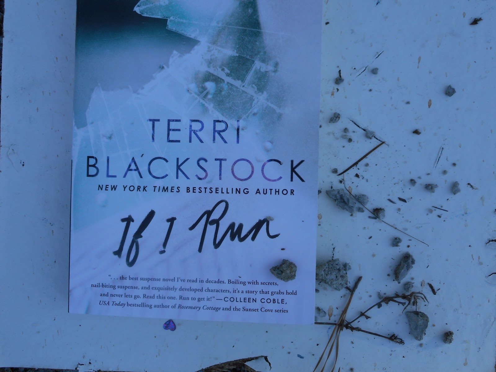 Spreading His Grace: My Bookshelf: If I Run by Terri Blackstock