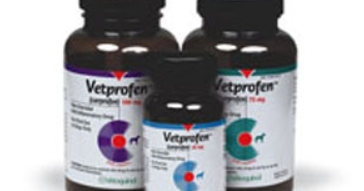 Medi-Vet Blog for Pets: VETPROFEN (CARPROFEN) CAPLETS