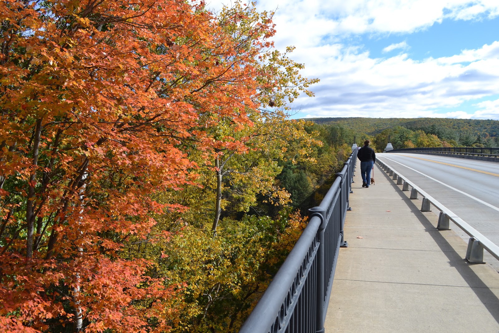 Much Ado About Somethin: The Mohawk Trail