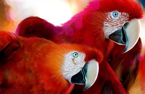 amazingbirdswalls: two red parrots
