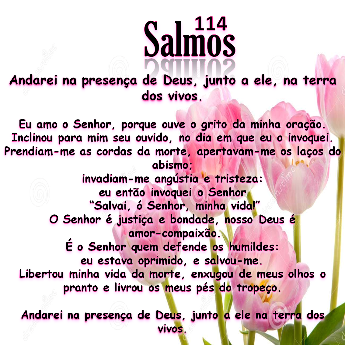 SOMOS DO BEM: Gênesis 2,1-19 - Salmo 114 - Evangelho Mateus 9 1-8 ...
