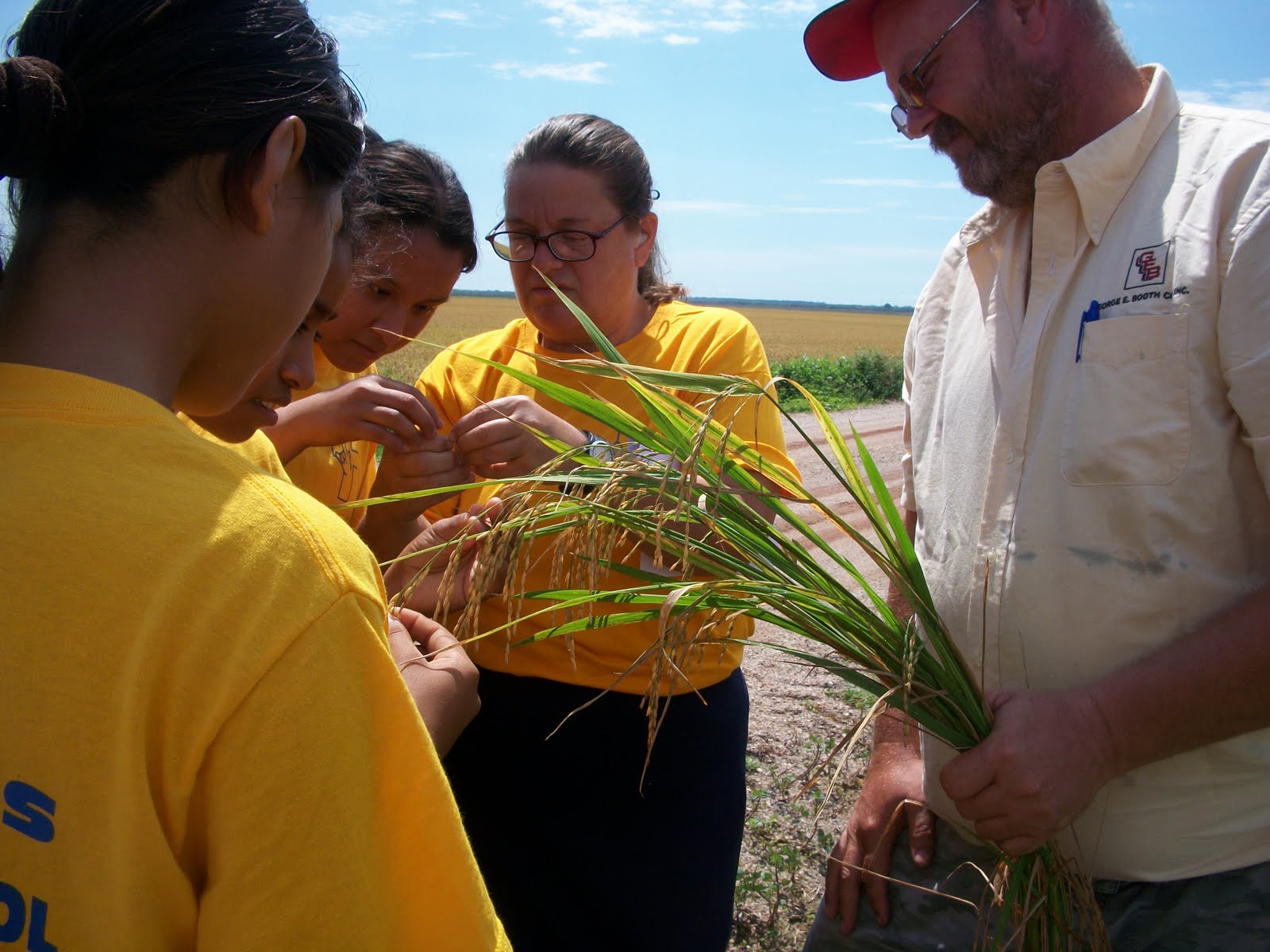 Leaning on the Everlasting Arms: Growing Rice in Belize