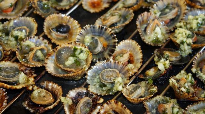 Natural History, Creation and Religious Conflicts: Eating limpets