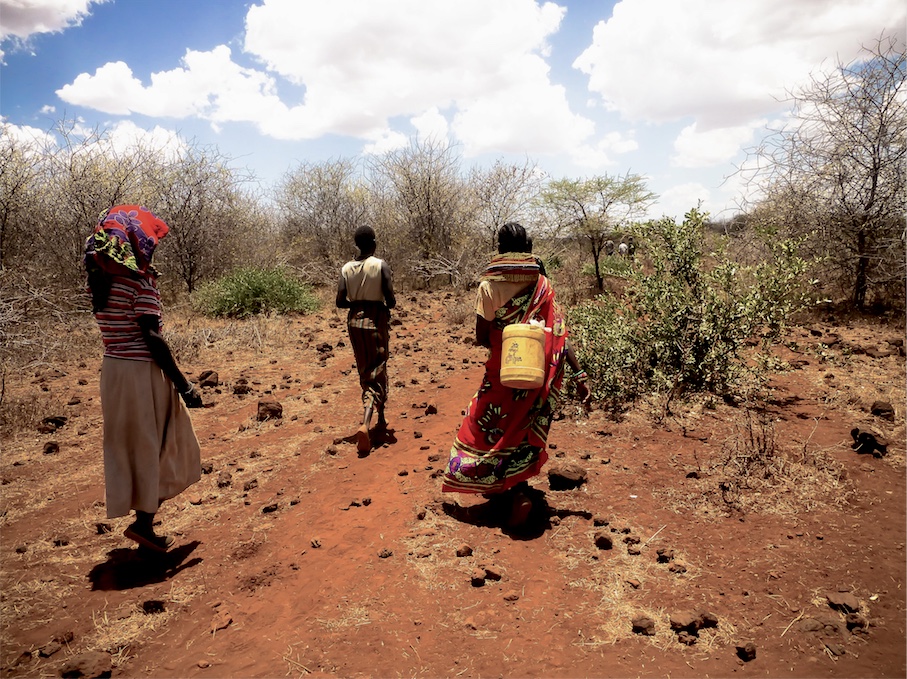 The Long White Line: 2017