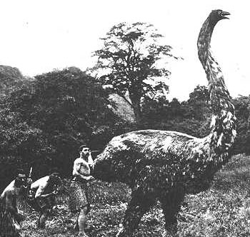 All About: History of New Zealand