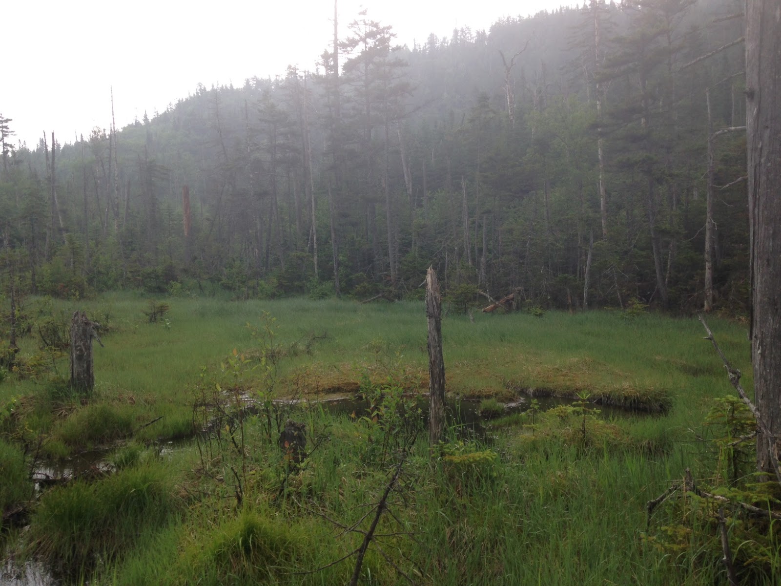 Trail Lust: Cliff: The Swamp Mountain