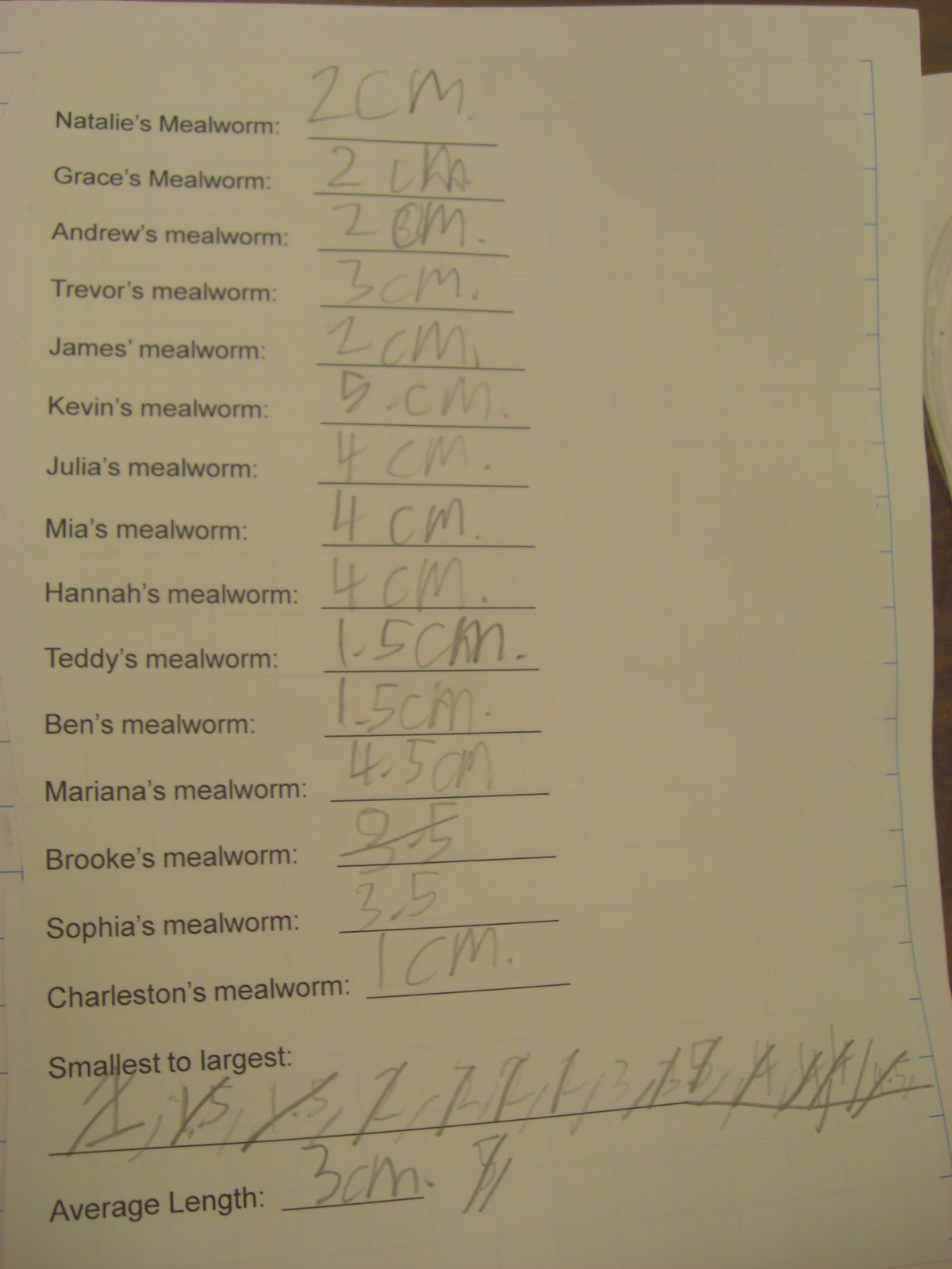 Notes From Second Grade: Mealworms