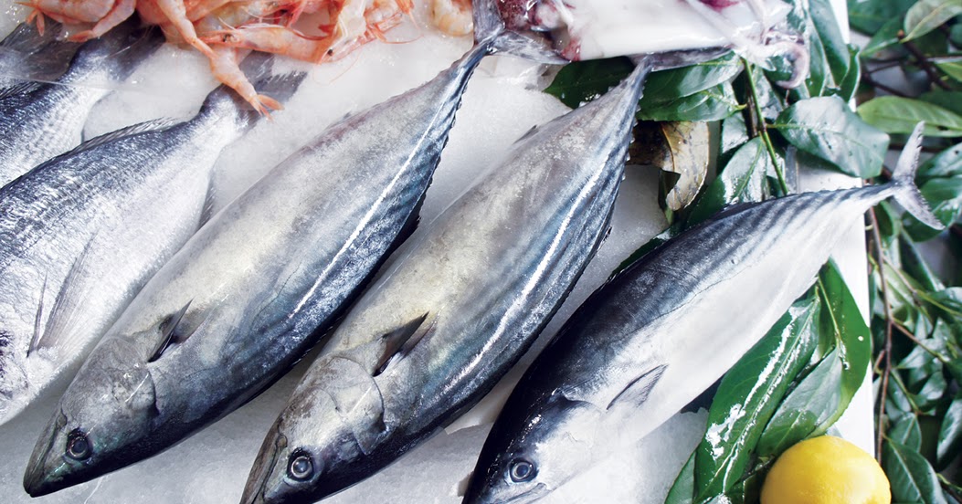 RECIPES IN MY ATTIC: Cooking Bonito (Palamut) fish at home...,When its ...