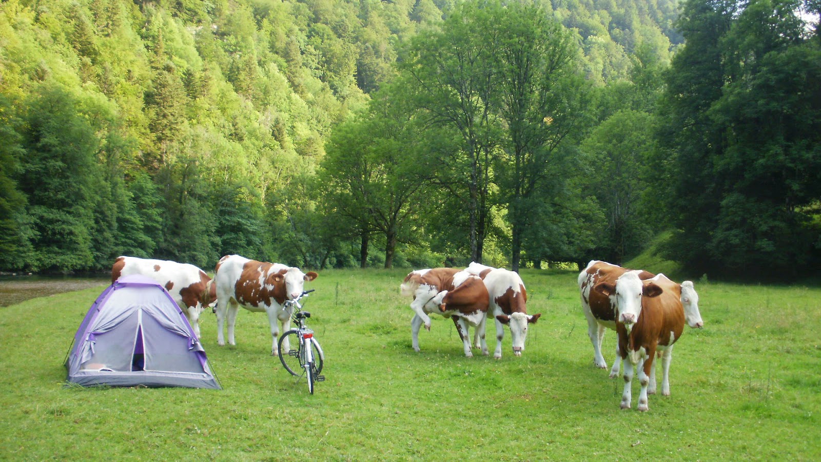 EXCURSII CU BICICLETA: Elvetia