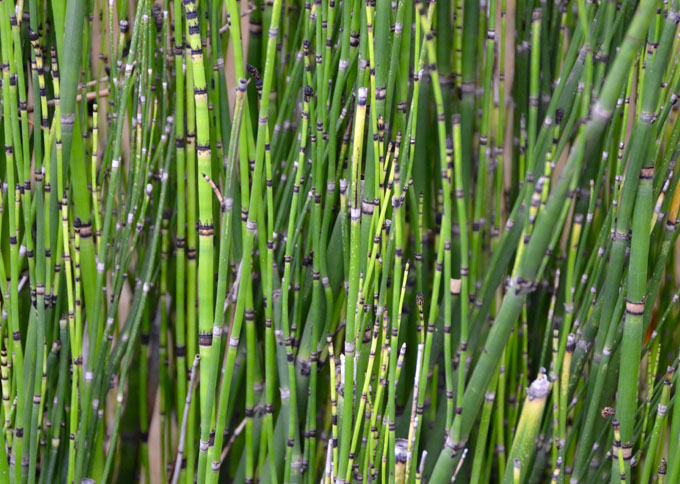 janvier 2016 | Mary & Patch