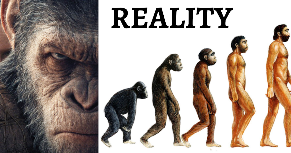 Atheism Exposed: Evolution was a fact or just a theory?