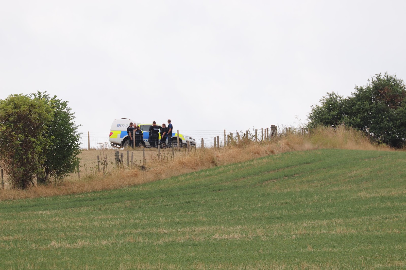 Cholsey Wildlife: Hare Coursing?
