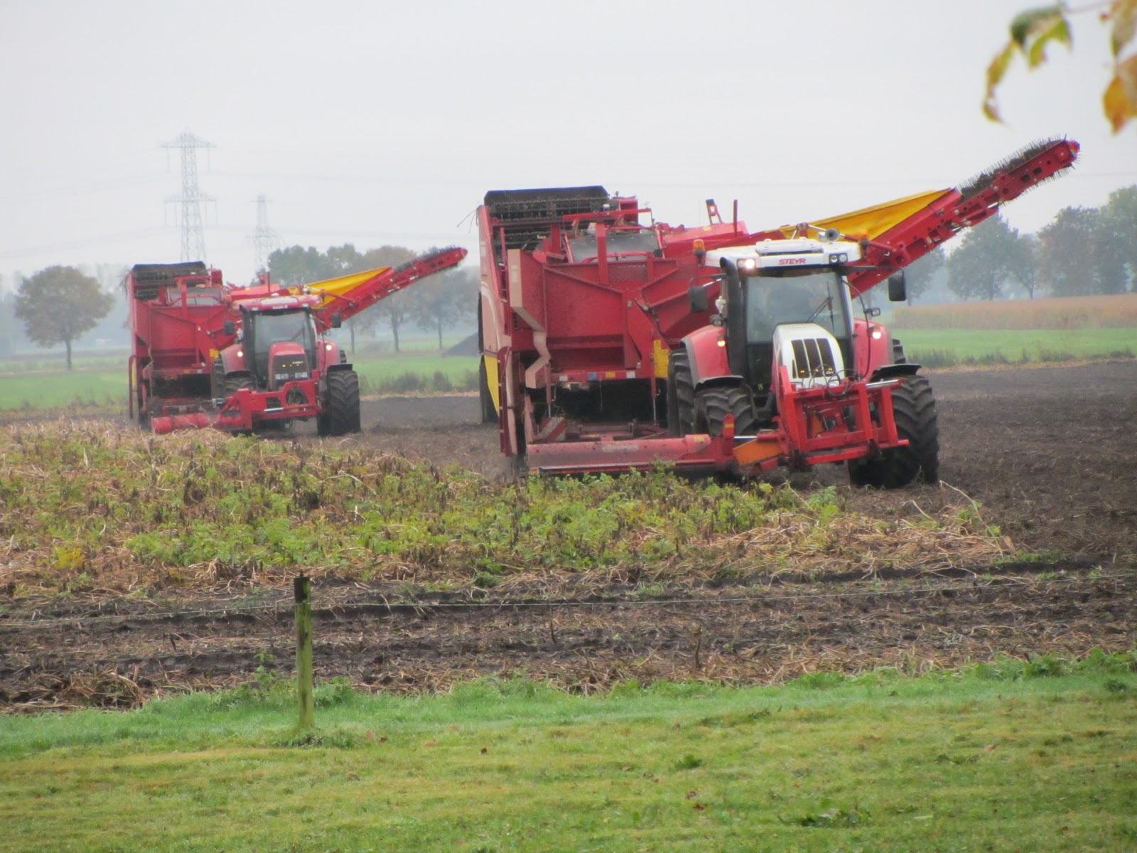 De Veenhoeve: AARDAPPELS ROOIEN