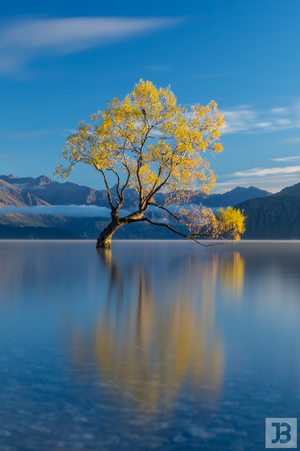 Joel Bramley Photography: That Wanaka Tree