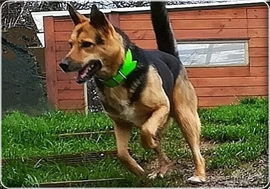 LA HUERTUCA DE JUANI