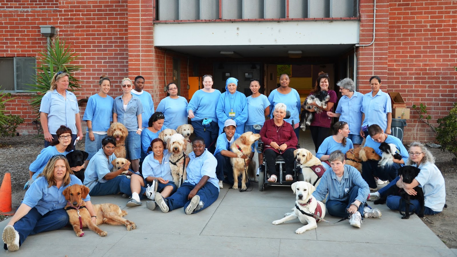 PRISON DOG PROGRAMS ~ BRIDGES and PATHWAYS of COURAGE