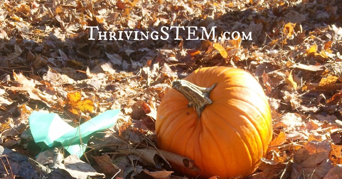 How to Use an Obstacle Course to Give Thanks - Thriving STEM