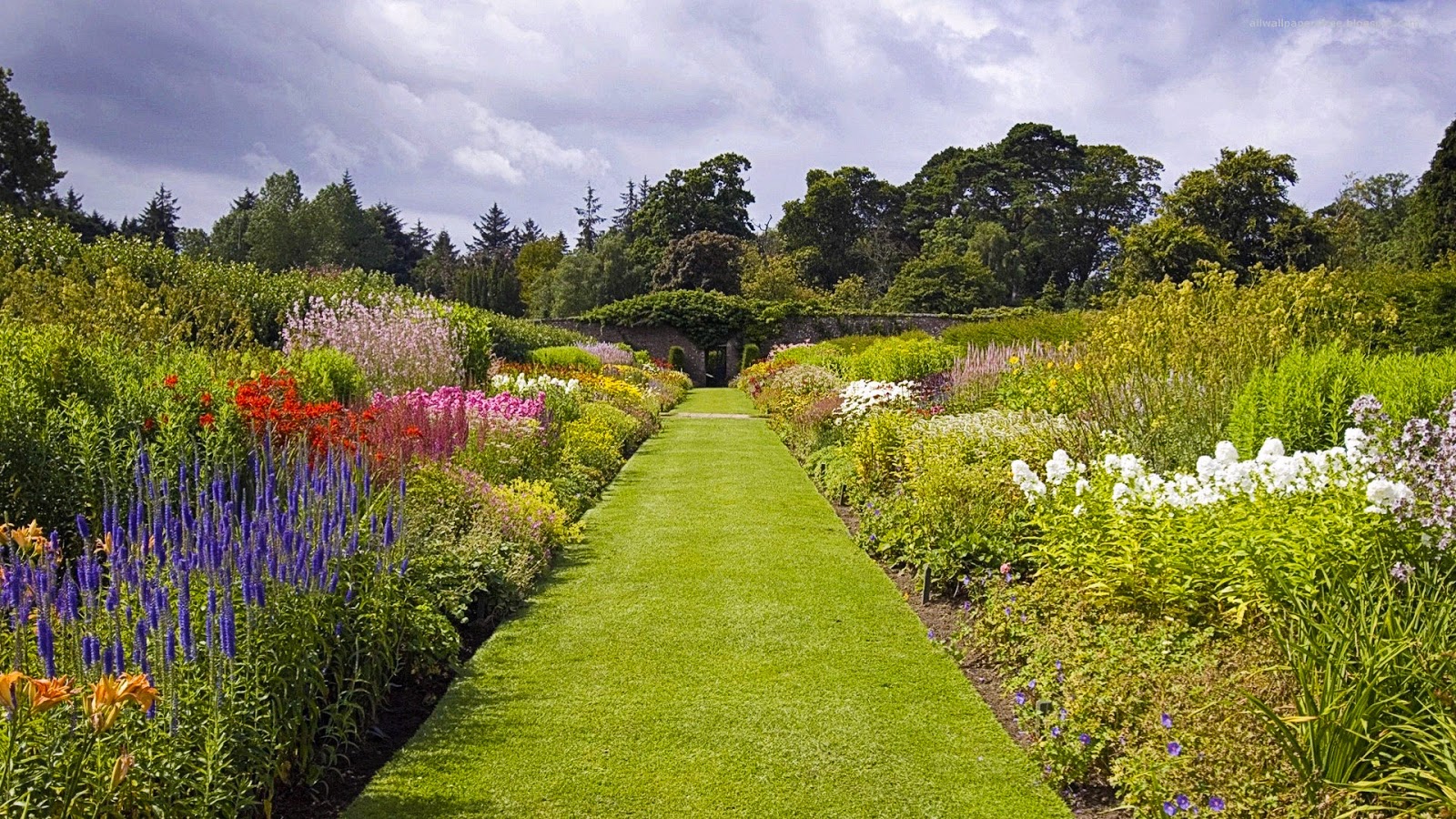 Free HD Images (FIFCU Purchased): 13 Images of Forest Way