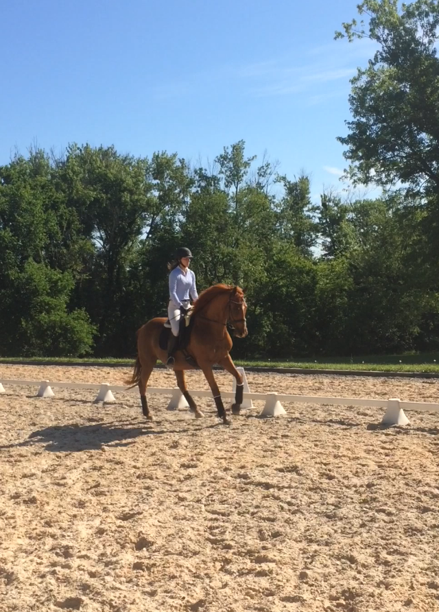 Stephen Returns: A Sweaty Story About Counter Canter