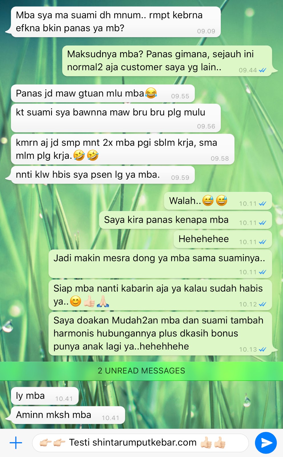 Jual Rumput Kebar Di Jakarta 0813-1752-4855 TERBUKTI Dan TERPERCAYA