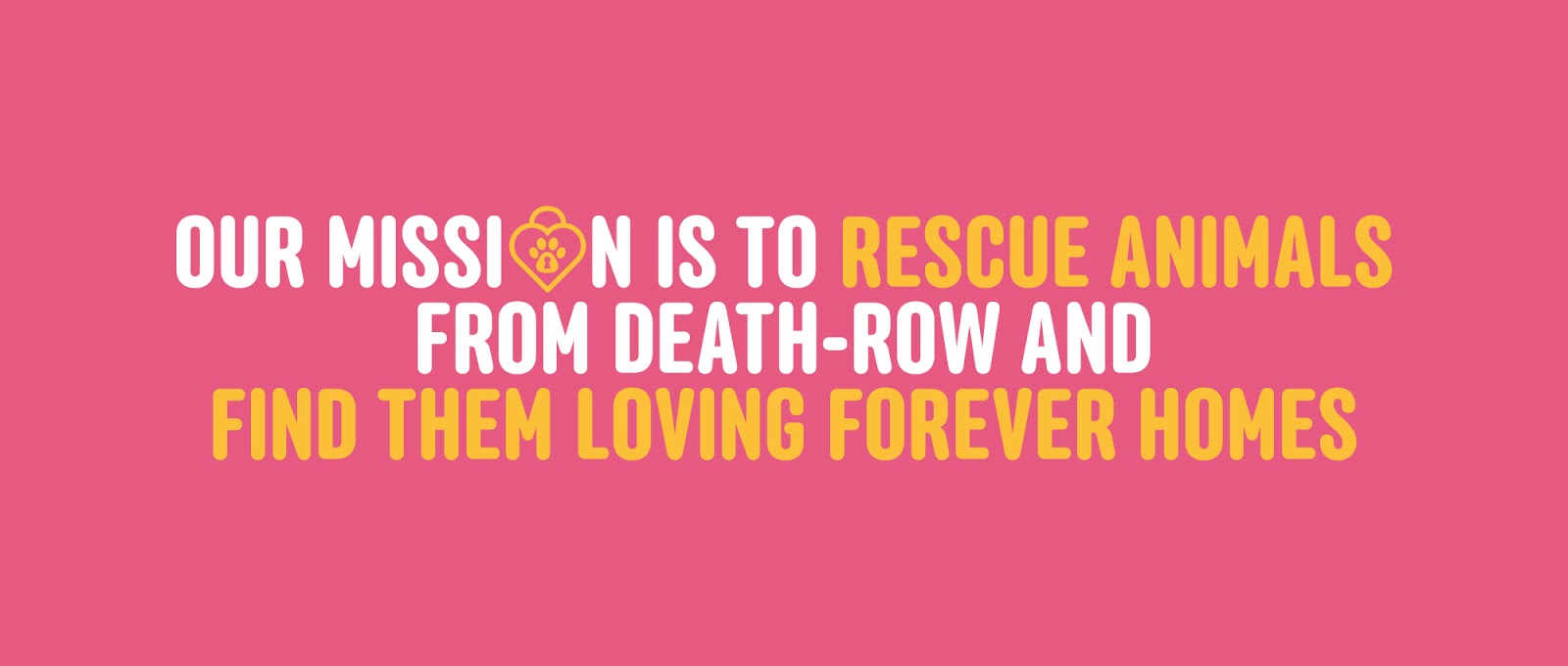 Rescue Ready for Takeoff! | Australian Dog Lover