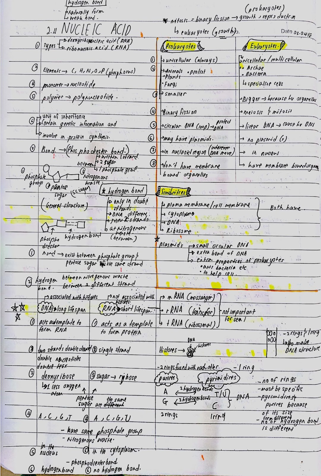 MUFY Biology Semester 1 Notes (RAW)