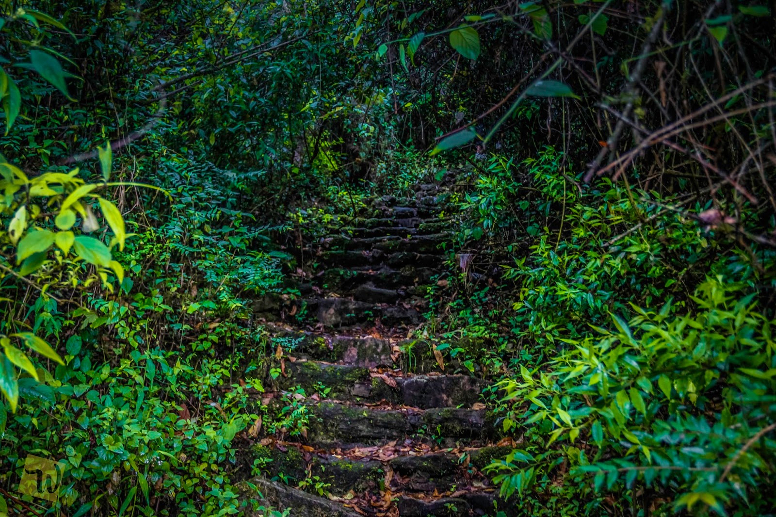 A Day Hike to Champadevi - Wondervibes