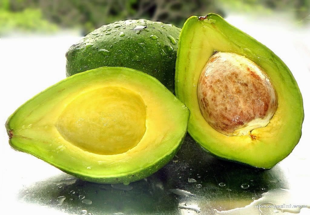 Rapidamente Adelgaza: Propiedades y Beneficios de la Palta - Bajar de ...