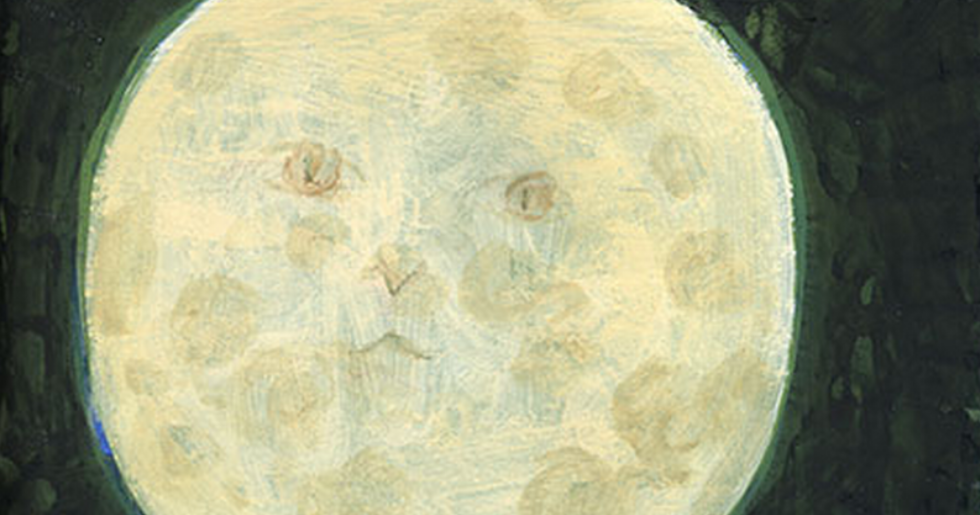 the art room plant: Rob Dunlavey VIII