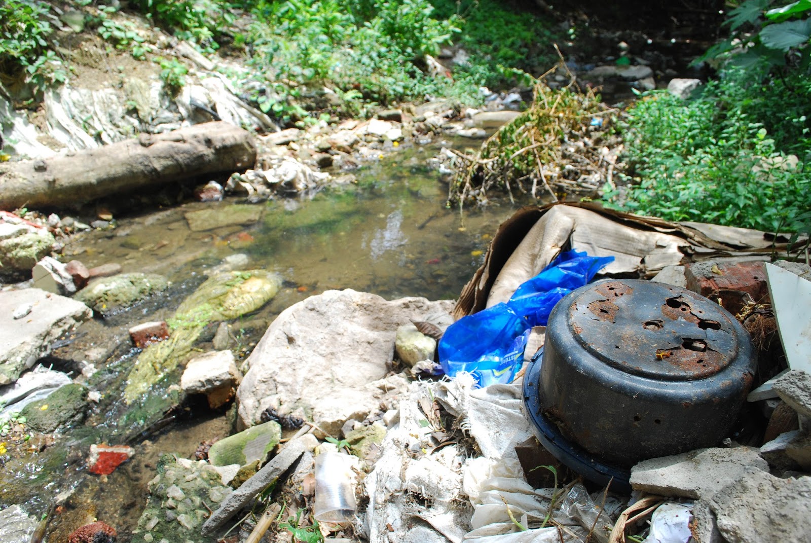 la contaminaion del agua en san juanico estado de mexico ...