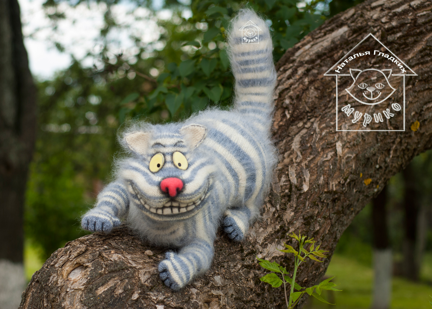 Toys Cats сентября 2016