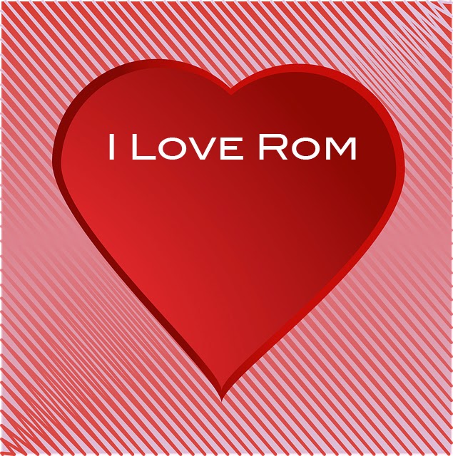 Démocratie et Solidarité à Villepreux: La fête « I LOVE ROM