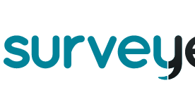 surveyYeah - cint survey Panel surveys ~ Survey reviews | Data entry works