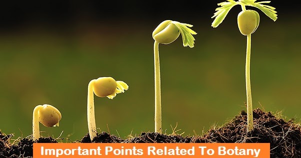 Important Points Related to Botany