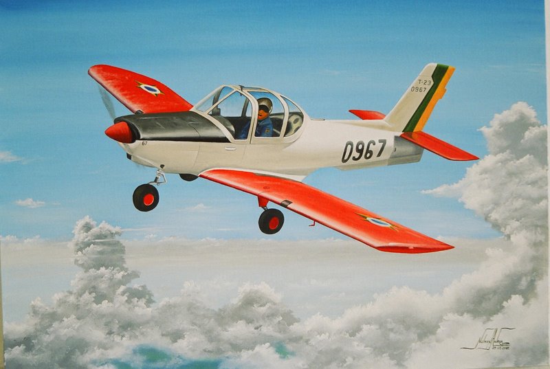 NELSON ANAYA - A ARTE AERONÁUTICA