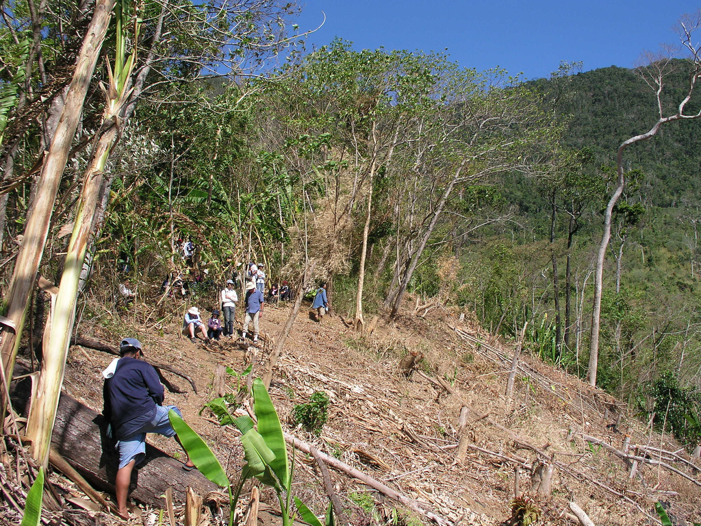 kaingin - philippin news collections