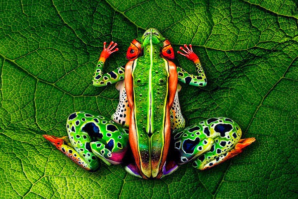 50 Optical Illusions To Trick Your Eyes ~ Unusual Things