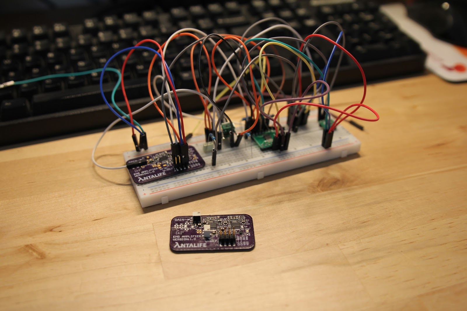 ANTALIFE's BLOG: PROJECT: EMG Amplifier, Update #1