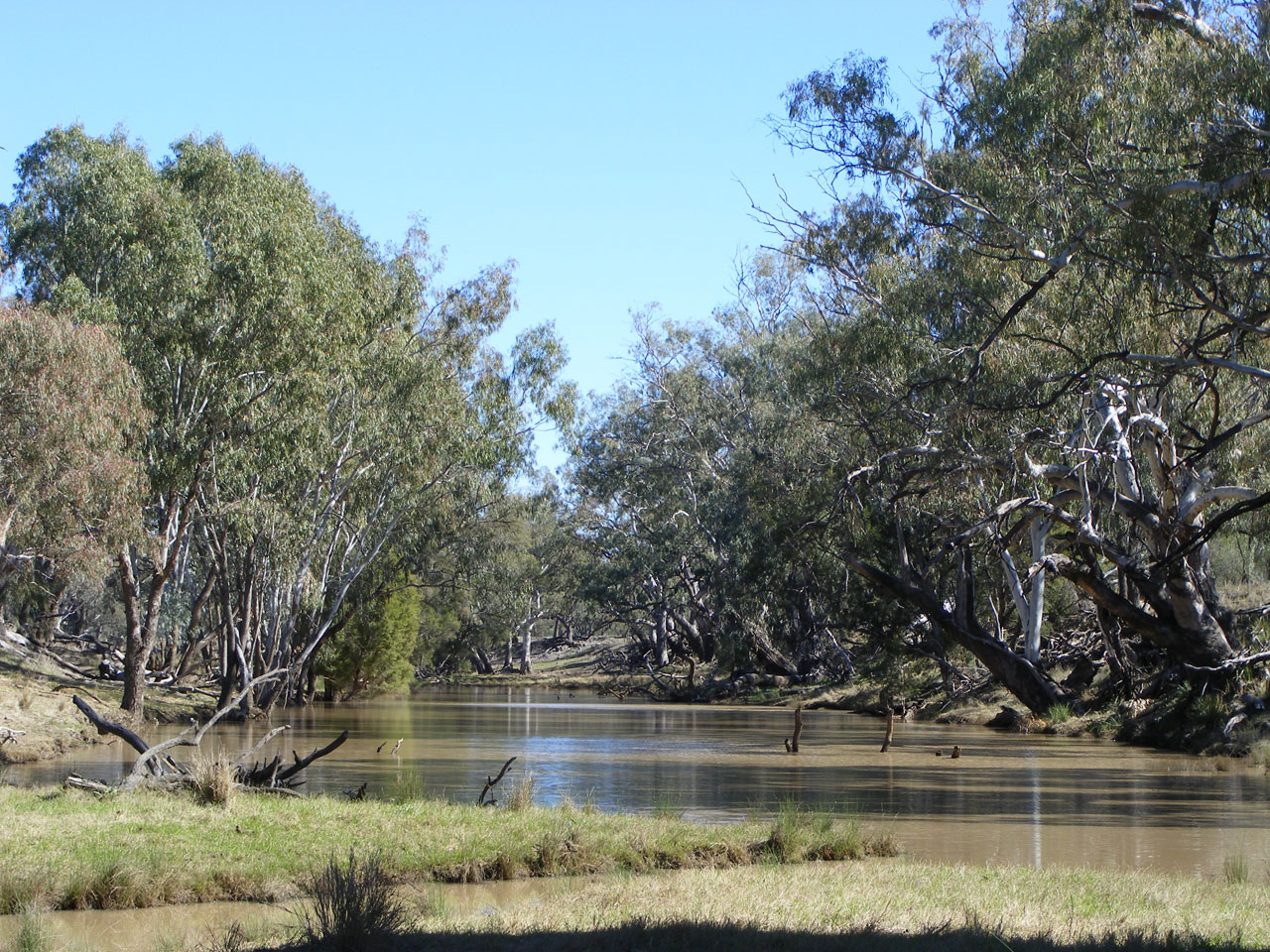 Onedaytech: Lightning Ridge to Grawin