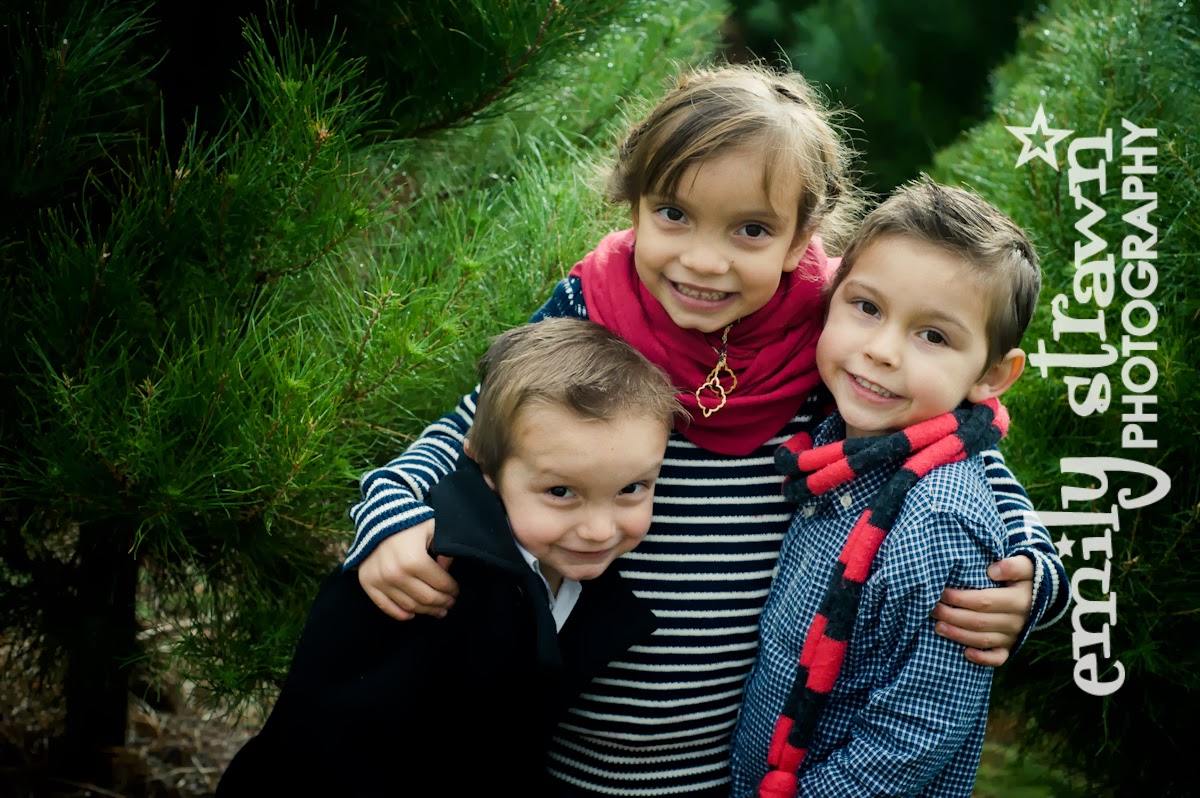 Emily Strawn Photography: Christmas Tree Mini Sessions