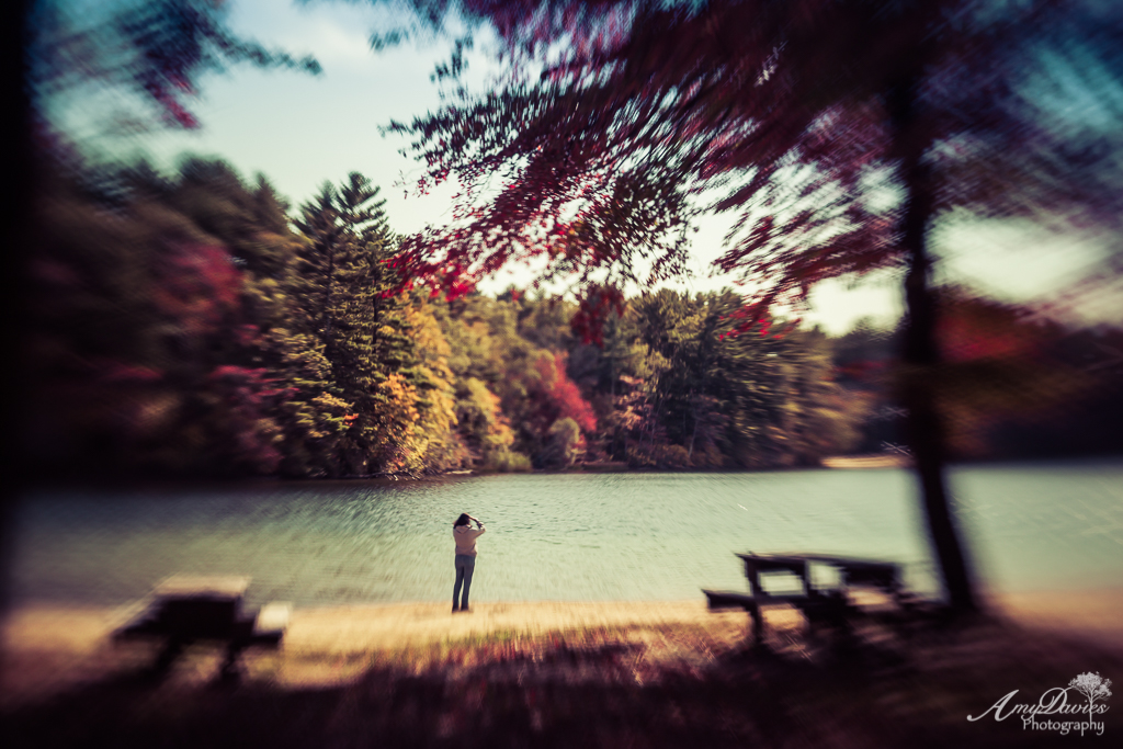 Capture My World : Fall in Morton Park, Plymouth, MA.