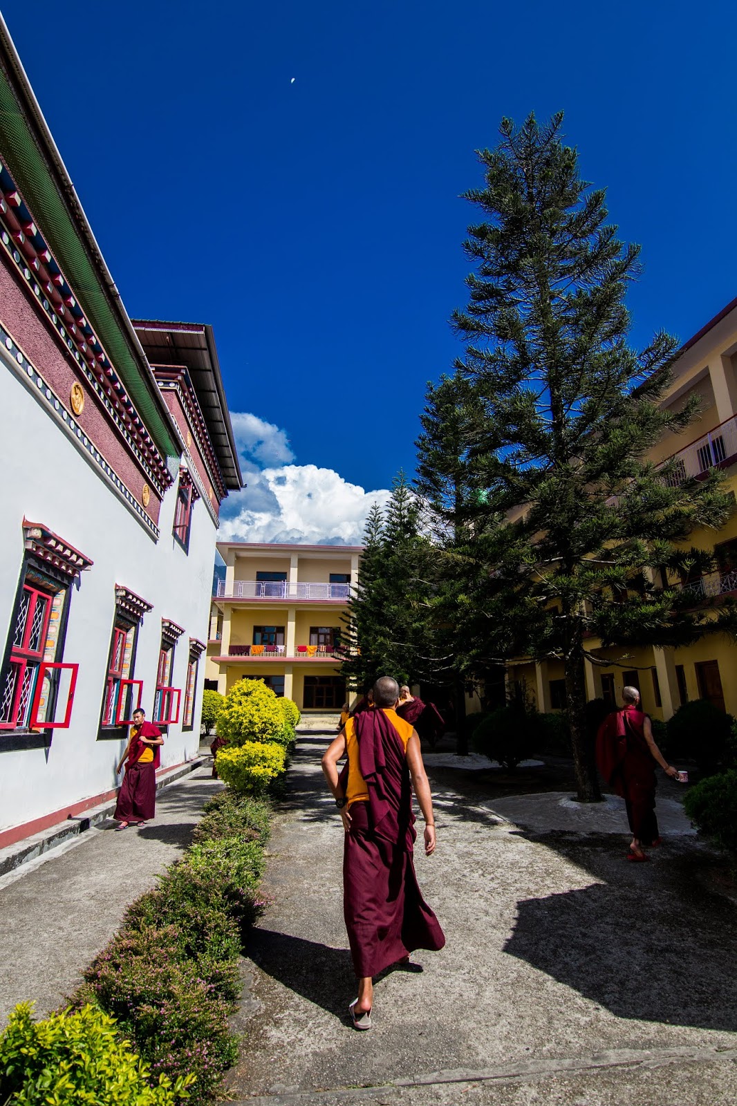 Top 5 reasons why you must visit Bir Billing in Himachal Pradesh