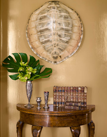 Through the French eye of design: TORTOISE SHELLS