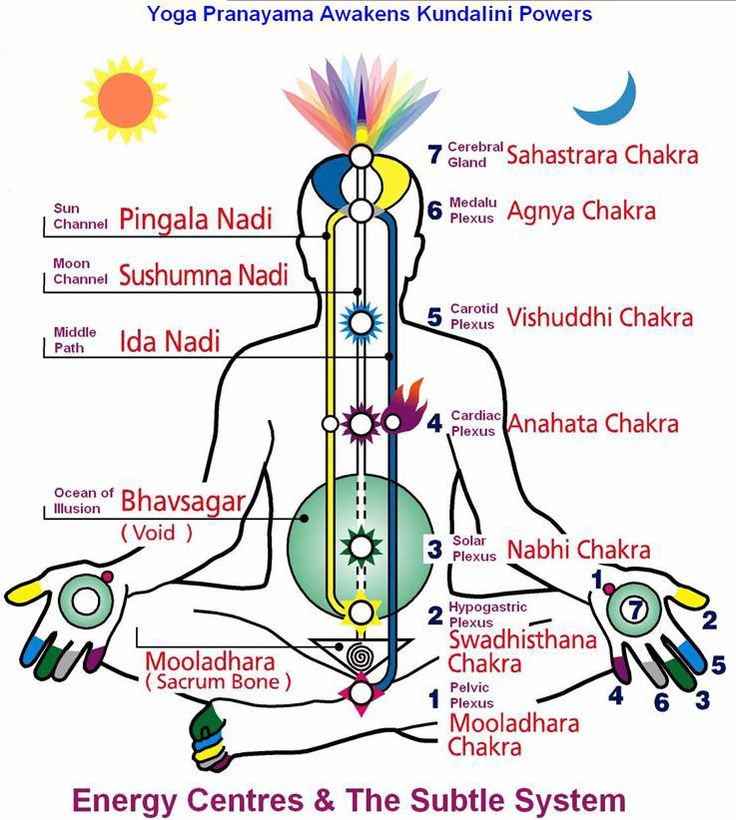 Chakra Meditation: chakras in human body